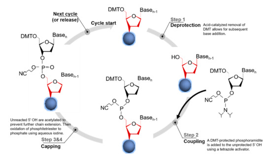 Current and Emerging Methods for the Synthesis of Single-Stranded DNA