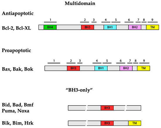Genes Special Issue Humanized Yeast Models