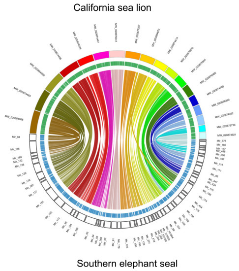 The Genome Assembly and Annotation of the Southern Elephant Seal ...