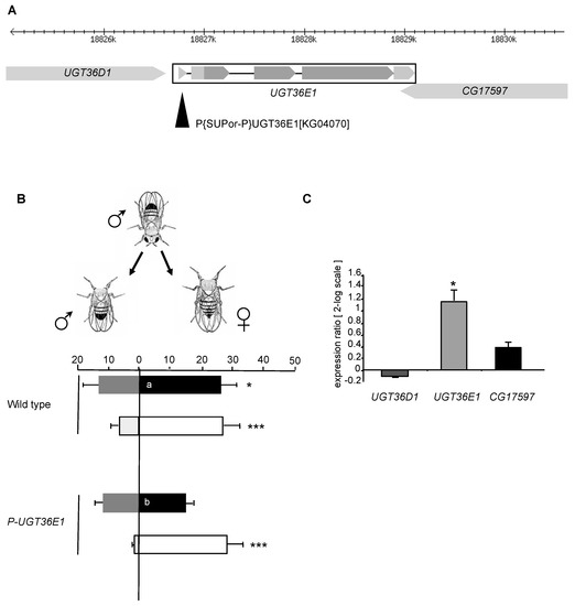 Genes Free Full Text Modulation Of Sex Pheromone Discrimination By