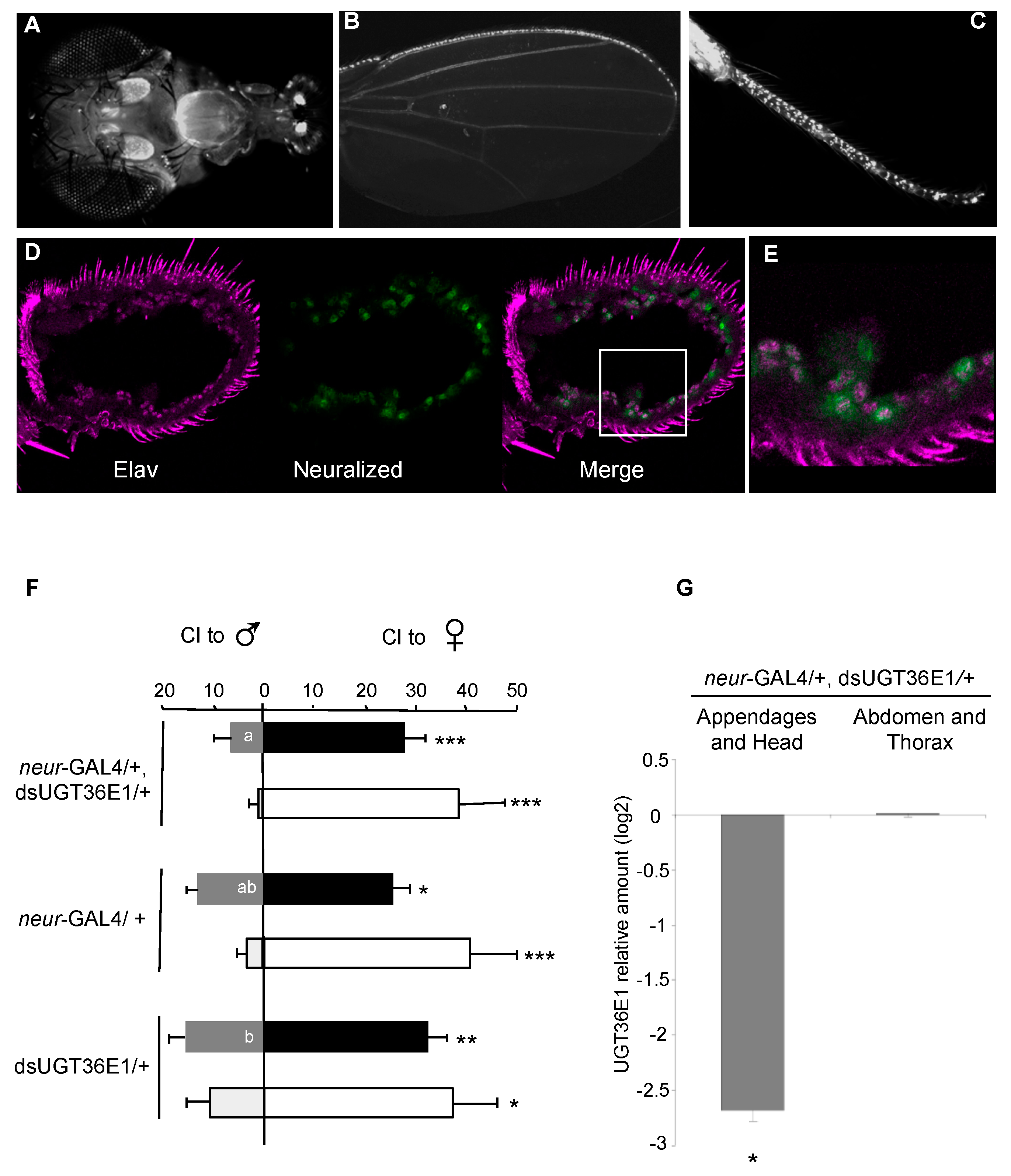Genes Free Full Text Modulation Of Sex Pheromone Discrimination By