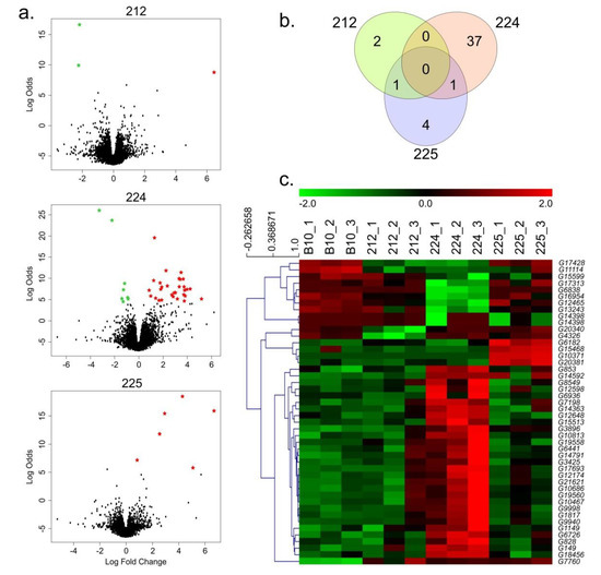 Effect of Transgenesis on mRNA and miRNA Profiles in Cucumber Fruits ...