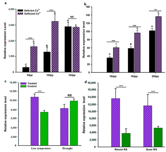 Genes | Free Full-Text | Ectopic Expression of AhGLK1b (GOLDEN2-like Transcription Factor) in ...