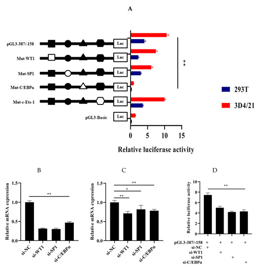 Genes | Special Issue : Pig Genomics and Genetics