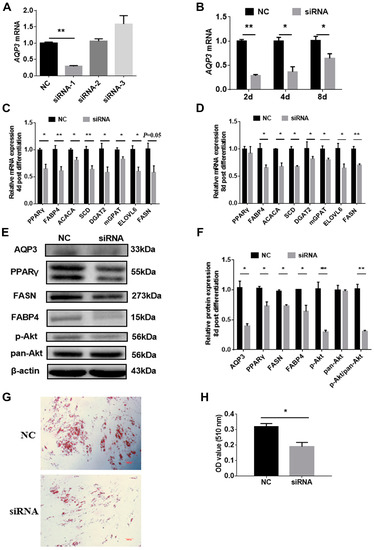 Genes | Special Issue : Pig Genomics and Genetics