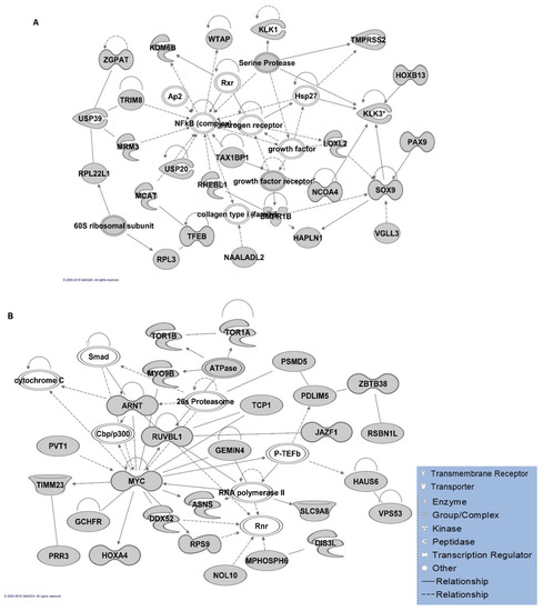 Pathway Analysis of Genes Identified through Post-GWAS to Underpin ...