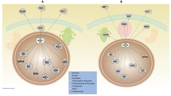 Pathway Analysis of Genes Identified through Post-GWAS to Underpin ...