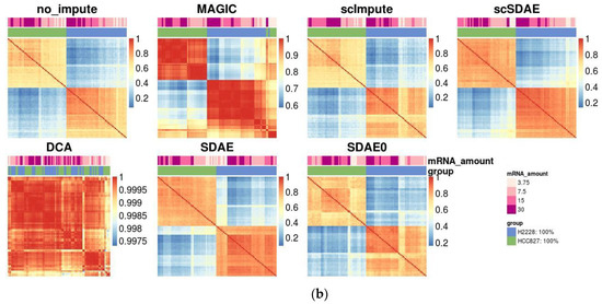 Genes | Free Full-Text | Sparsity-Penalized Stacked Denoising Autoencoders for Imputing Single ...