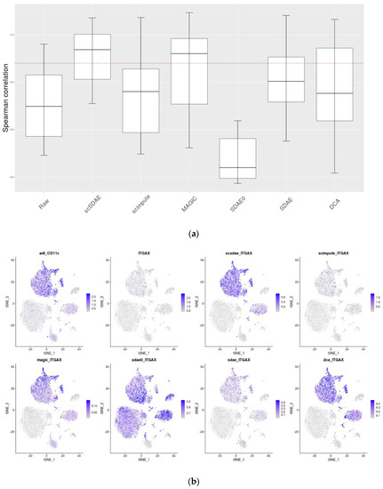 Genes | Free Full-Text | Sparsity-Penalized Stacked Denoising Autoencoders for Imputing Single ...