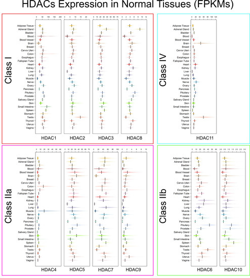 Histone Deacetylases (HDACs): Evolution, Specificity, Role in ...