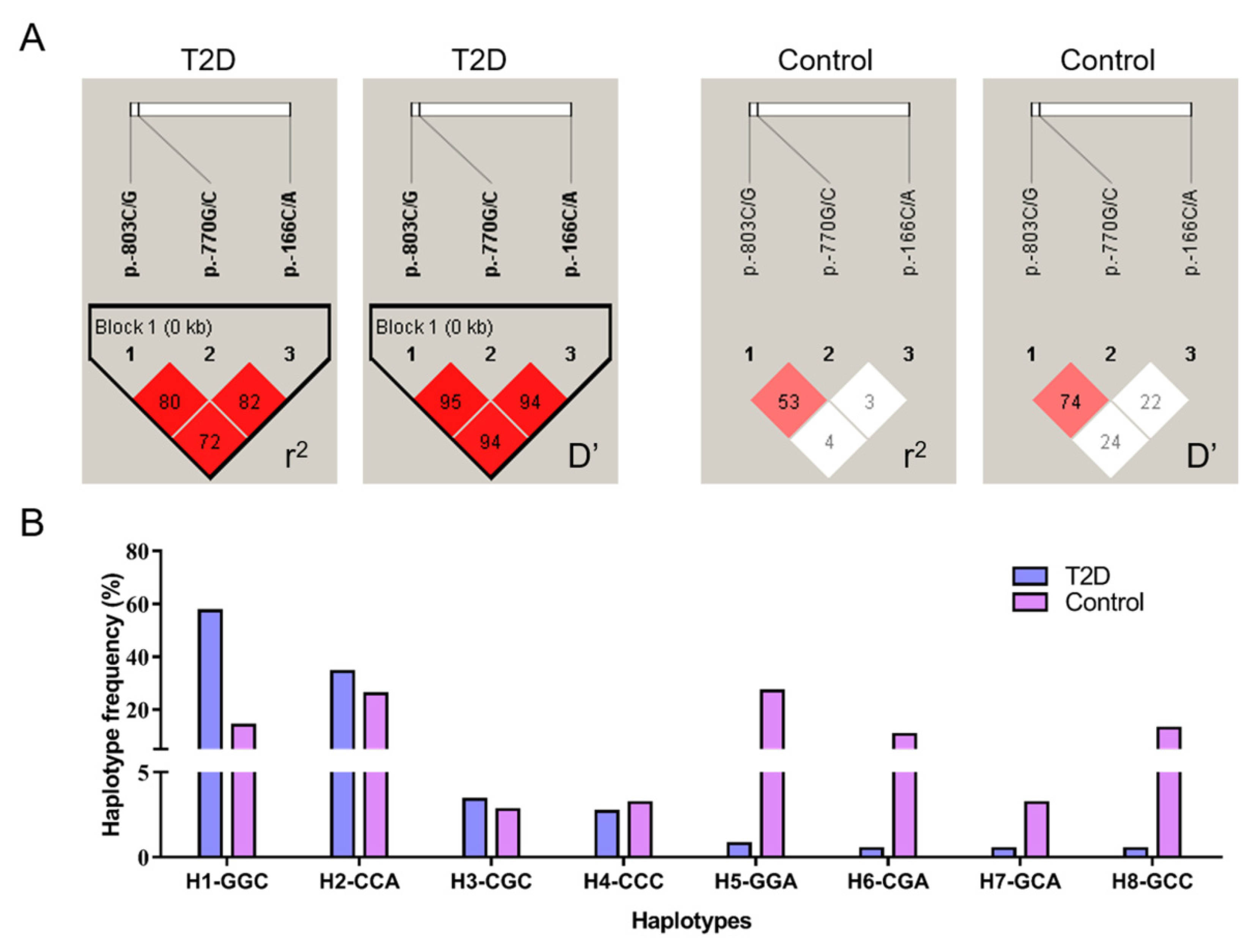 Haplotypes of the Mutated SIRT2 Promoter Contributing to Transcription ...