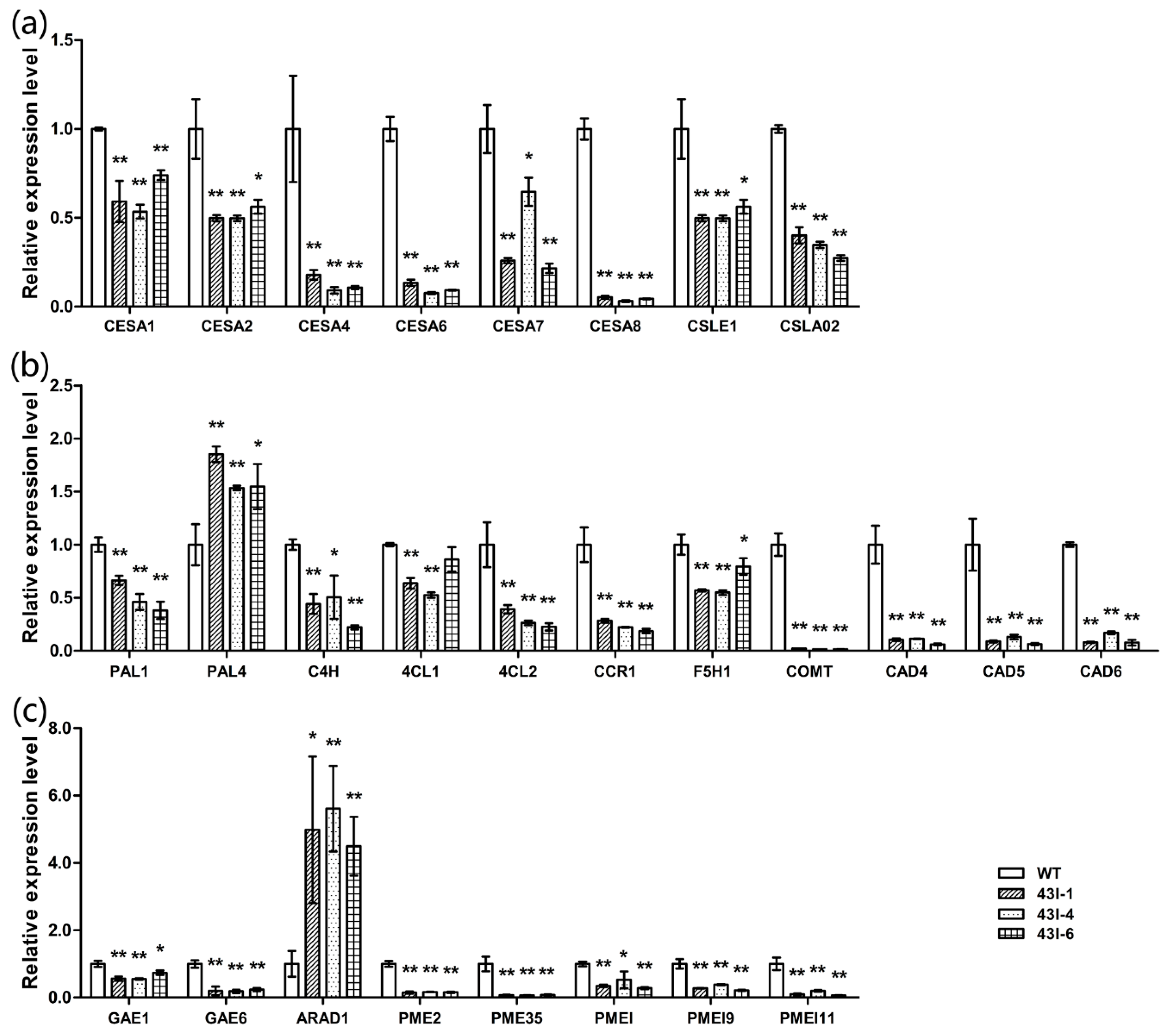 MYB43 in Oilseed Rape (Brassica napus) Positively Regulates Vascular ...