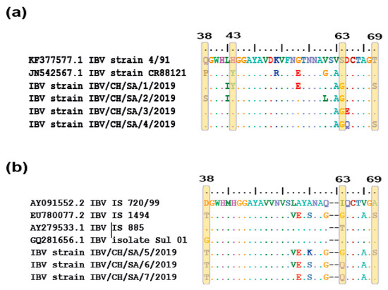 Evolutionary Analysis of Infectious Bronchitis Virus Reveals Marked ...