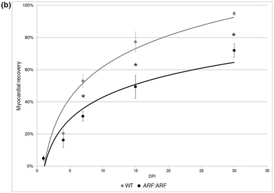 Human ARF Specifically Inhibits Epimorphic Regeneration in the ...