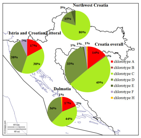 Genetic Diversity, Population Structure, and Parentage Analysis of ...