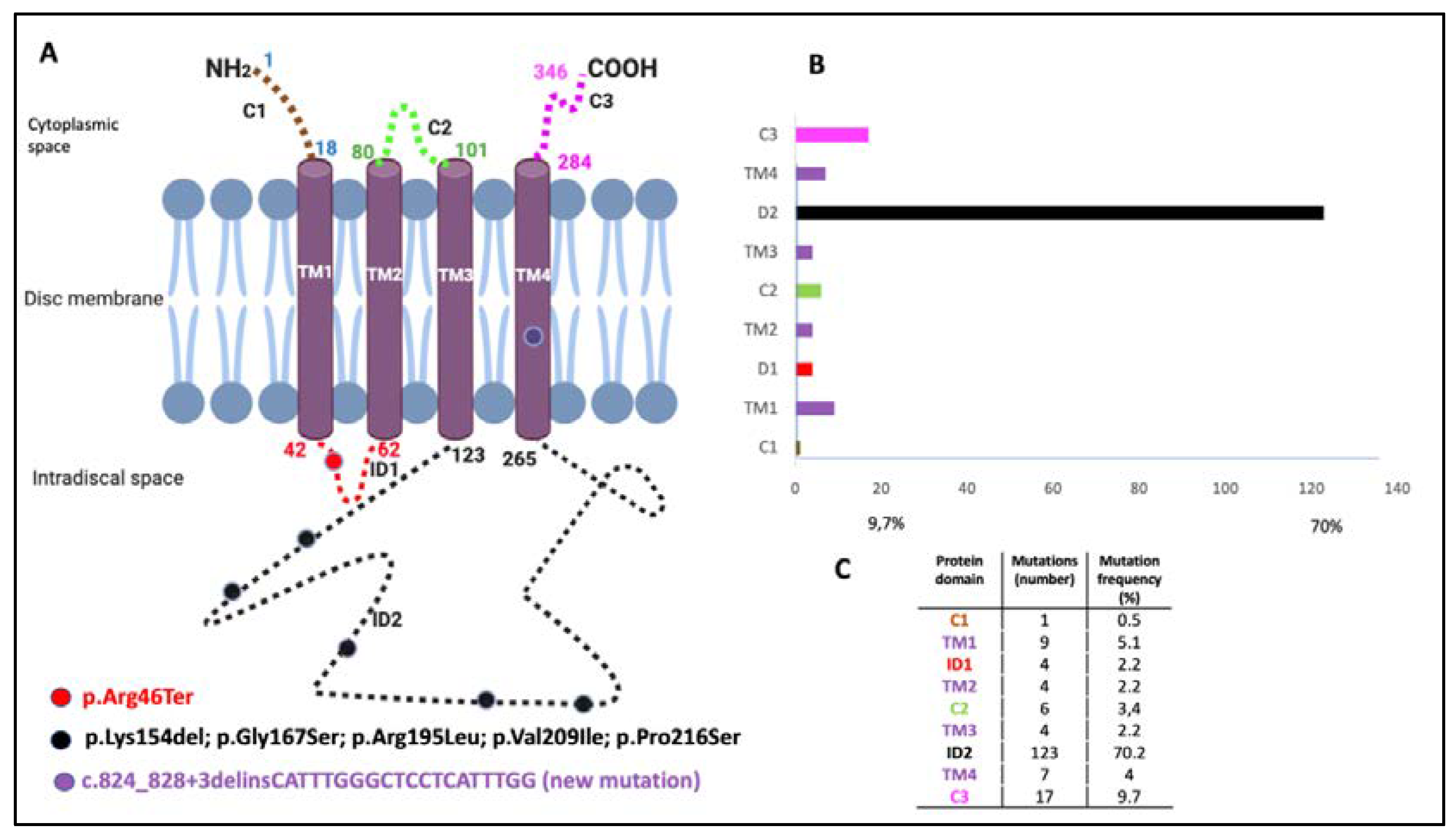 PRPH2-Related Retinal Diseases: Broadening the Clinical Spectrum and ...