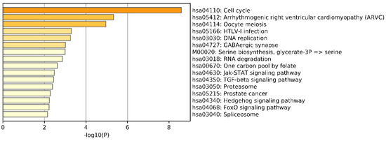 Classifying Breast Cancer Subtypes Using Deep Neural Networks Based on Multi-Omics Data