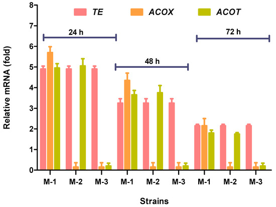 Increased Accumulation of Medium-Chain Fatty Acids by Dynamic ...