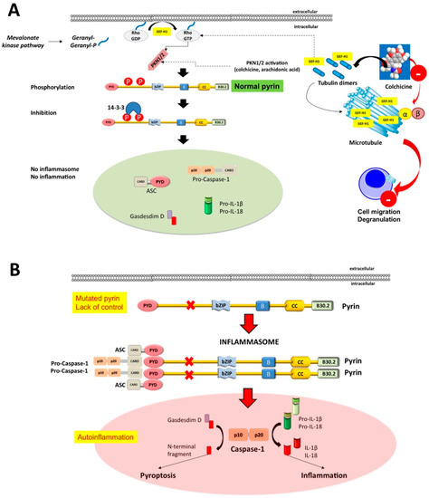 Gut Microbiota between Environment and Genetic Background in Familial ...
