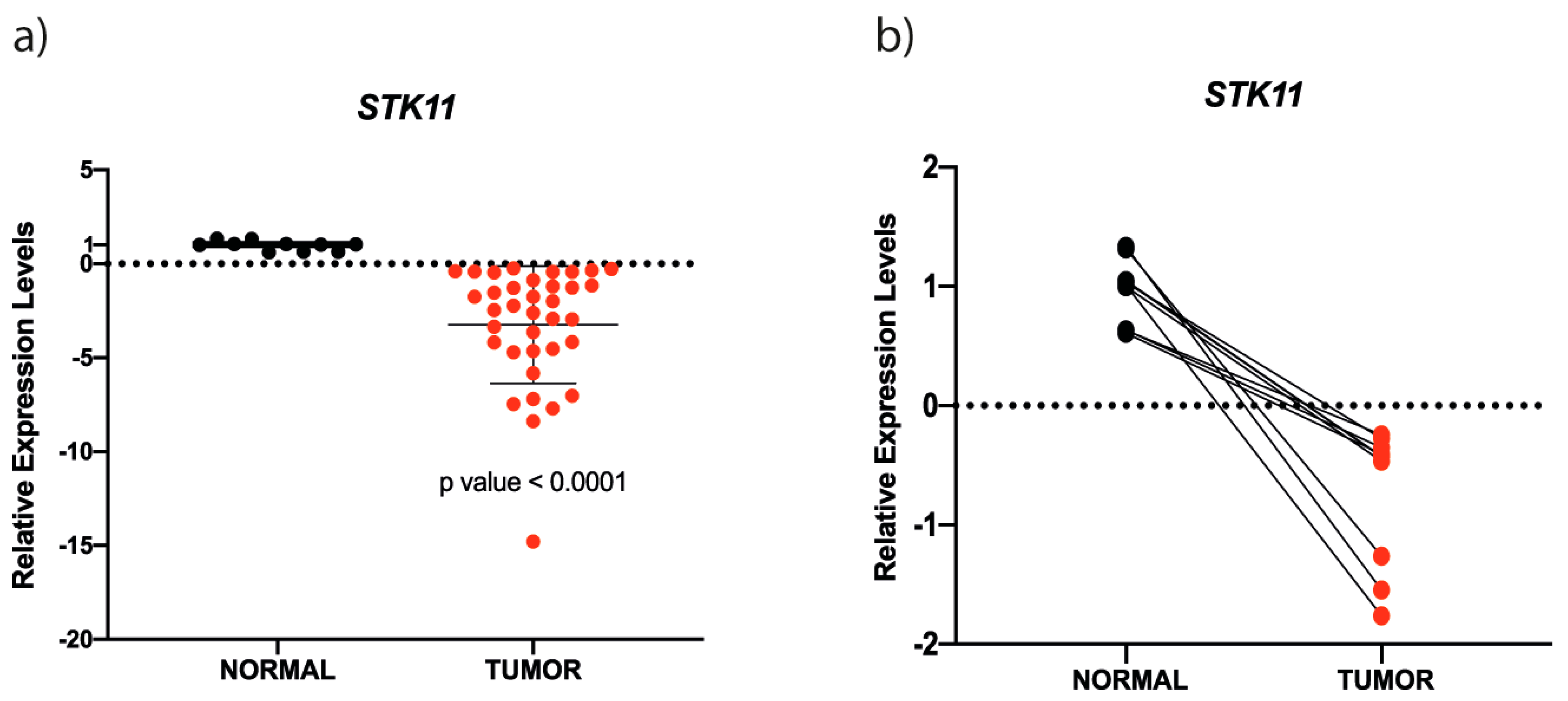 Negative Regulation of Serine Threonine Kinase 11 (STK11) through miR ...