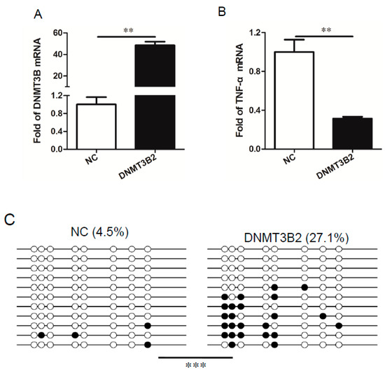 Genes | Special Issue : Pig Genomics and Genetics