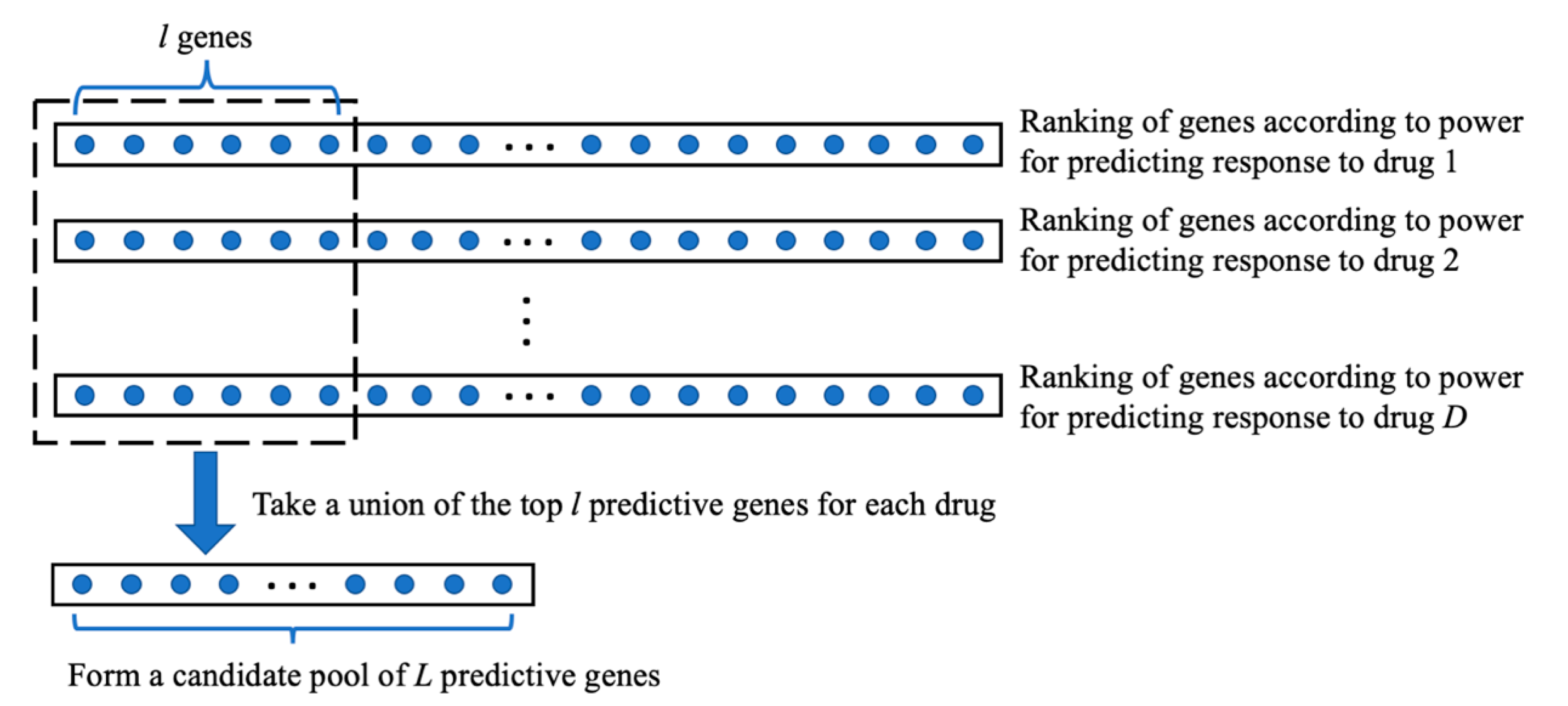 Enhanced Co-Expression Extrapolation (COXEN) Gene Selection Method for ...