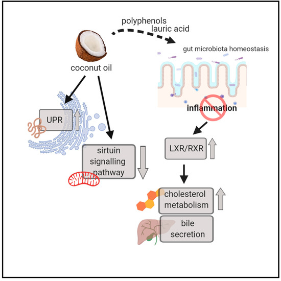 Genes | Special Issue : Pig Genomics and Genetics