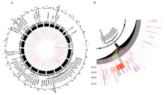 PML Regulates the Epidermal Differentiation Complex and Skin ...