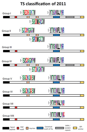 Trypanosoma Cruzi Genome: Organization, Multi-Gene Families ...