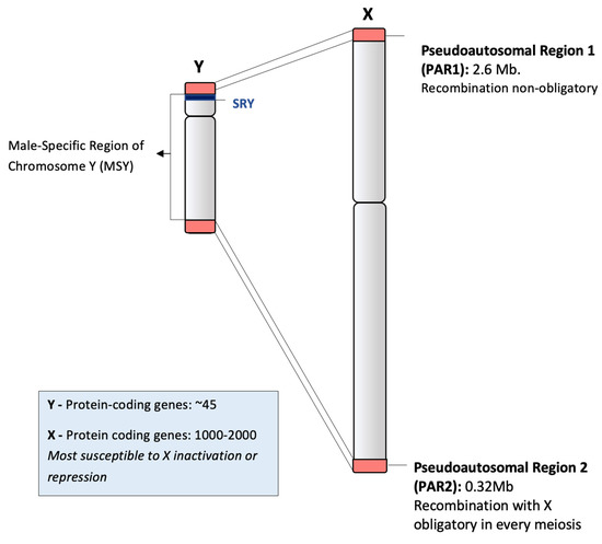 The Y Chromosome: A Complex Locus for Genetic Analyses of Complex Human ...