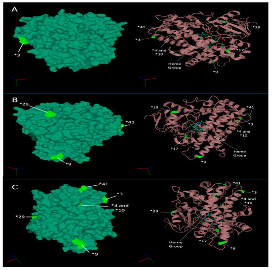 A Review of the Important Role of CYP2D6 in Pharmacogenomics