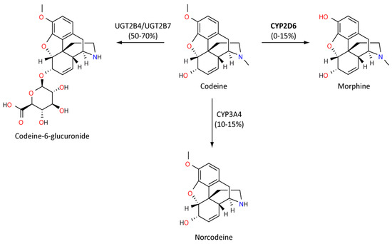 A Review of the Important Role of CYP2D6 in Pharmacogenomics