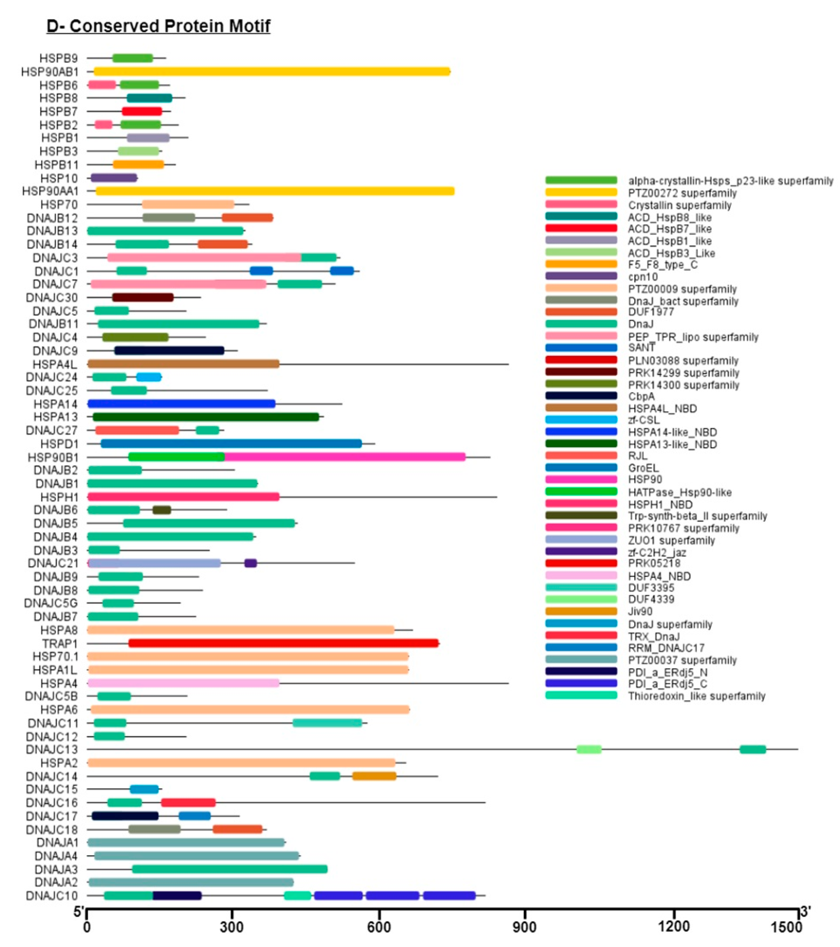 Genomic Identification, Evolution and Sequence Analysis of the Heat ...