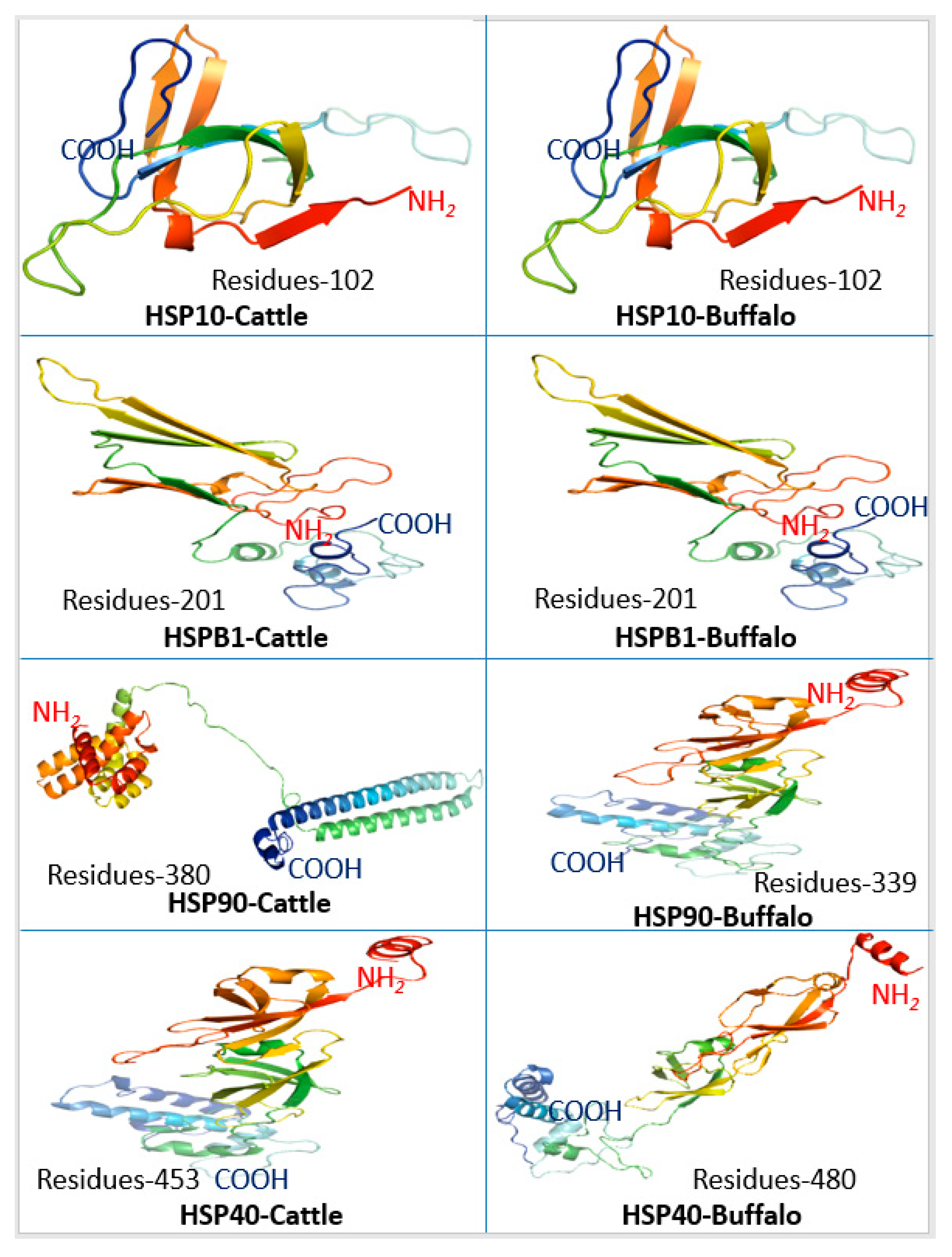 Genomic Identification, Evolution and Sequence Analysis of the Heat ...