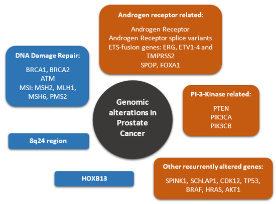 The Genetic Complexity of Prostate Cancer