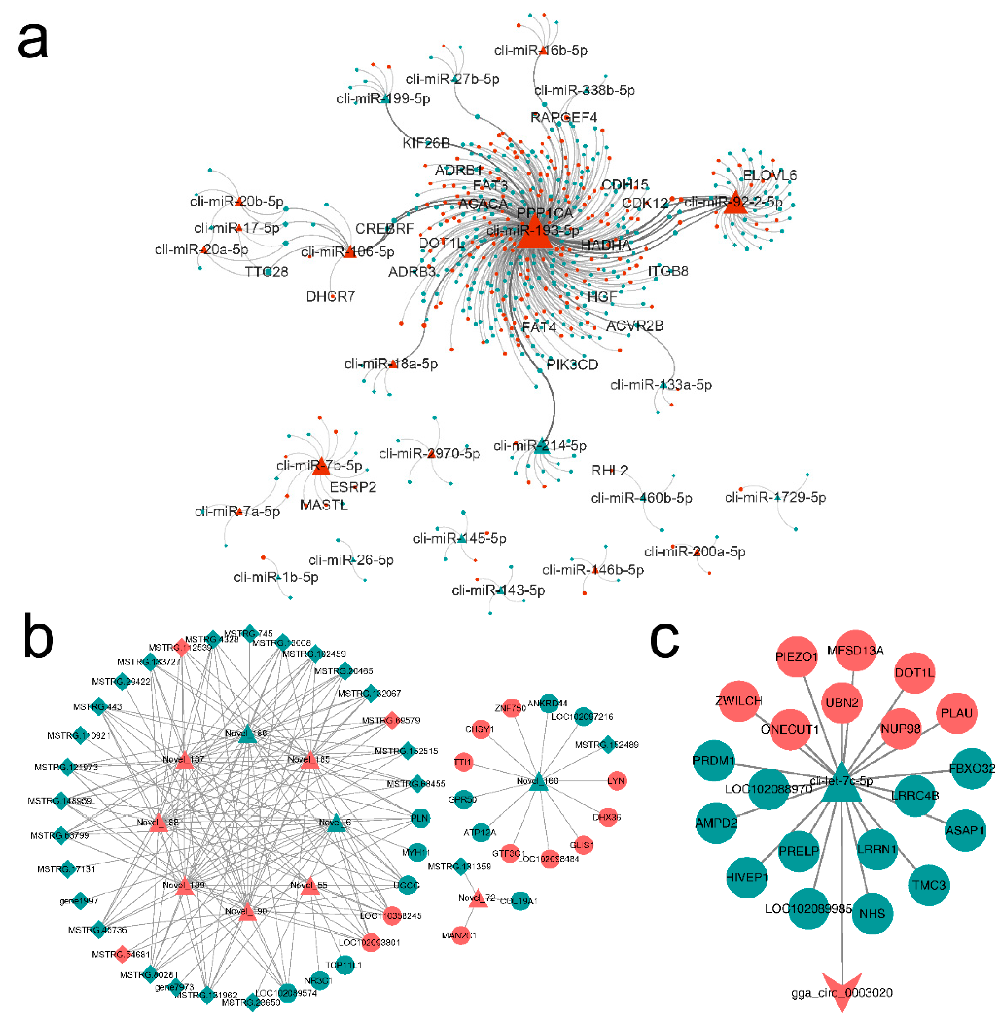 Identification of microRNA-Associated-ceRNA Networks Regulating Crop ...