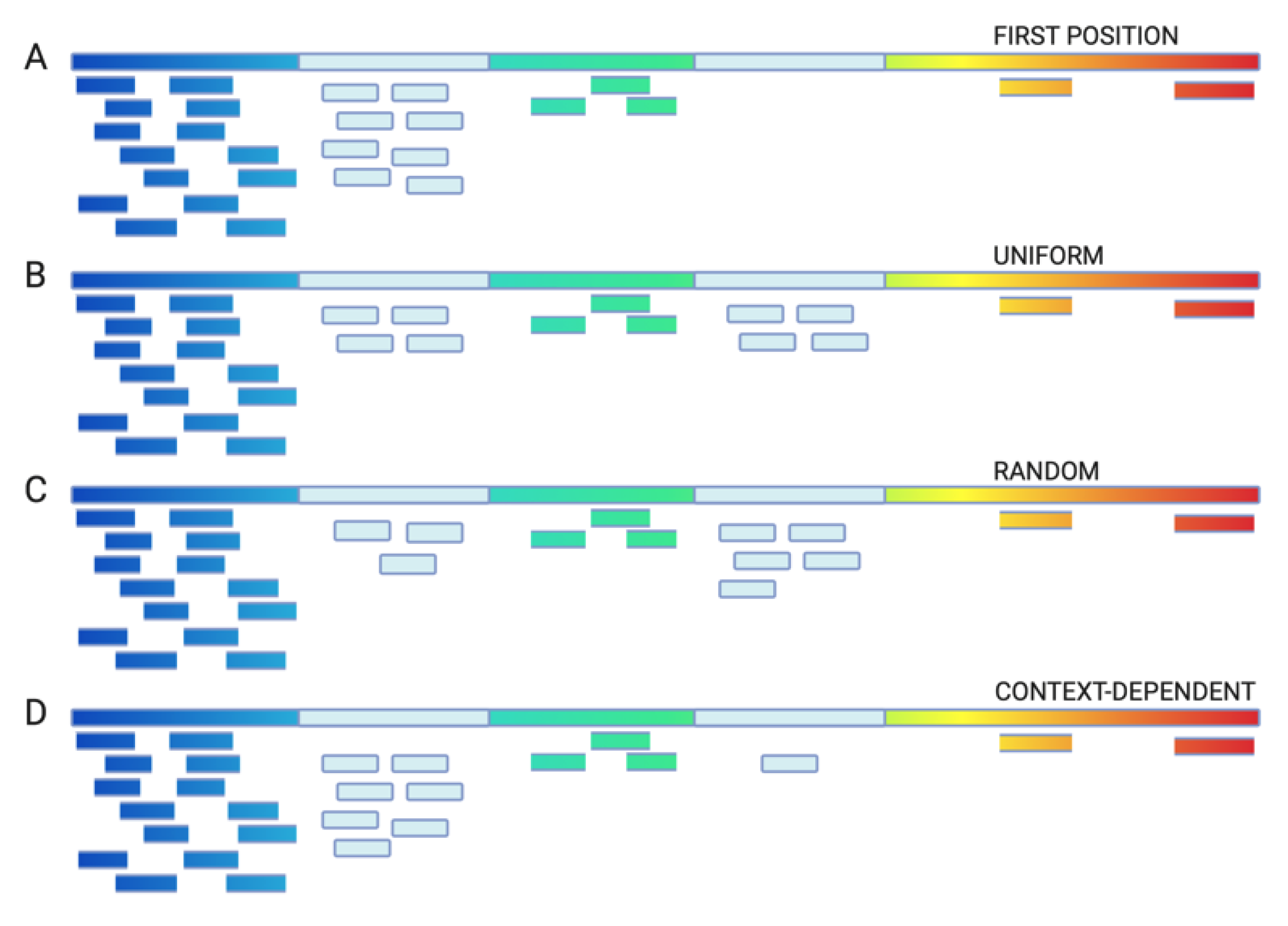 Probably Correct: Rescuing Repeats with Short and Long Reads