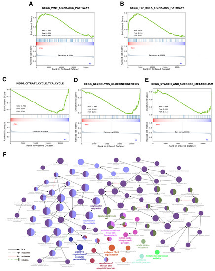 Identification of Potential Risk Genes and the Immune Landscape of ...