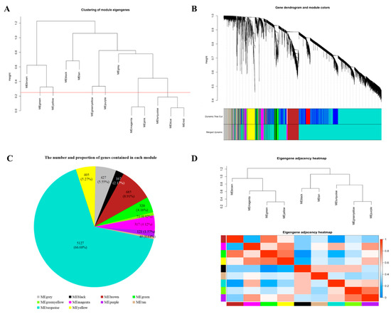 Identification of Key Pathways and Genes Related to the Development of ...