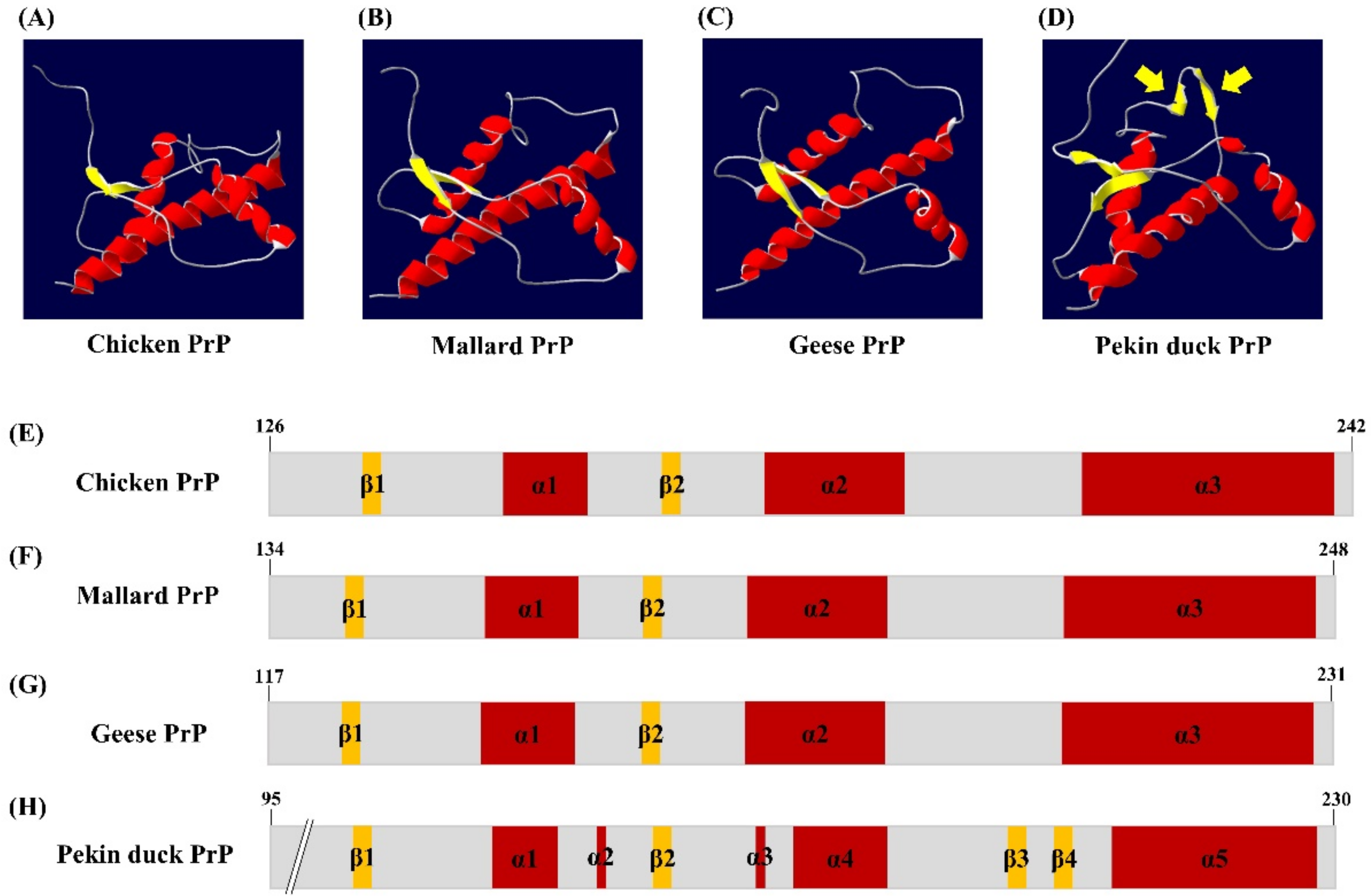 The First Report of the Prion Protein Gene (PRNP) Sequence in Pekin ...