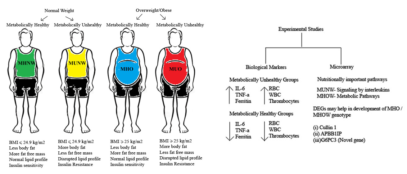 Genes | Free Full-Text | Deciphering Biochemical and Molecular ...