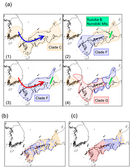 Waves Out of the Korean Peninsula and Inter- and Intra-Species ...