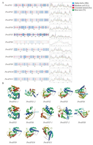 Identification and Characterization of the APX Gene Family and Its ...
