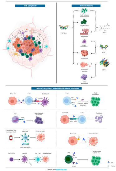 Decipher the Glioblastoma Microenvironment: The First Milestone for New ...
