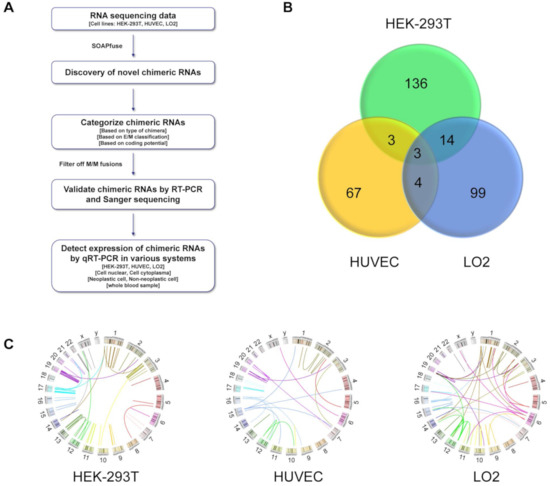 Landscape of Chimeric RNAs in Non-Cancerous Cells