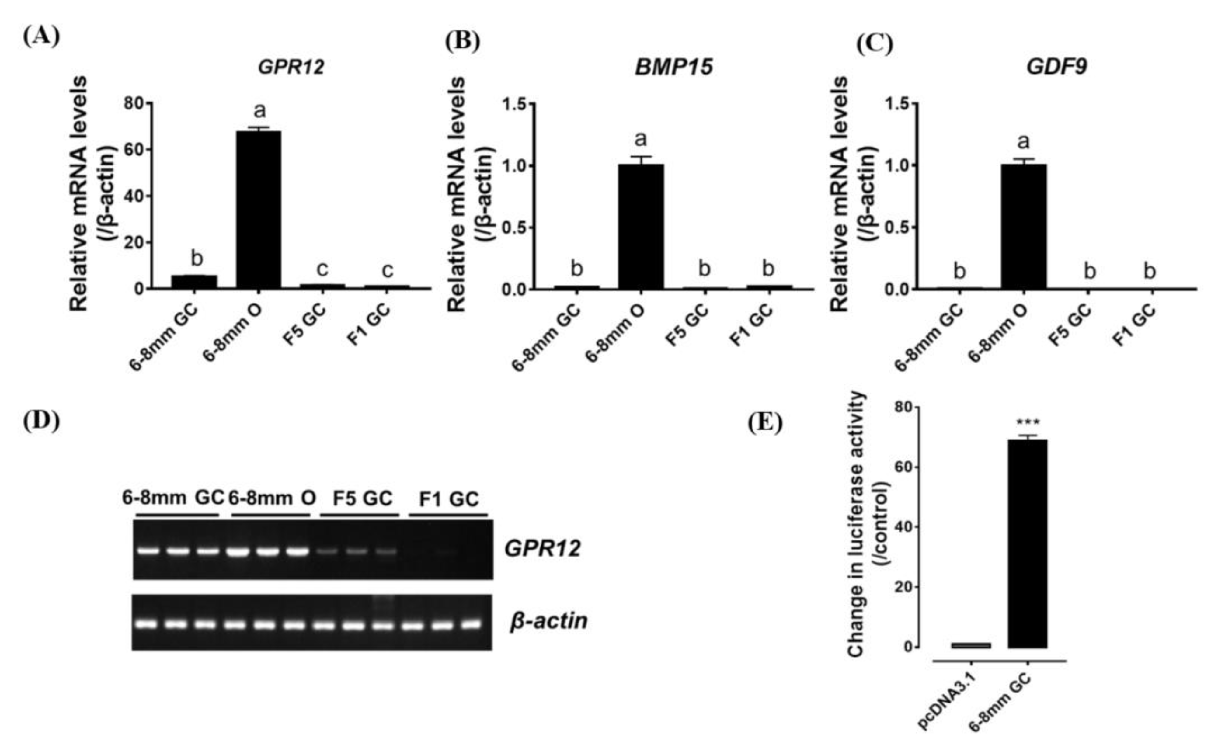 Characterization of Four Orphan Receptors (GPR3, GPR6, GPR12 and GPR12L ...