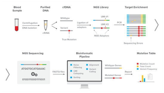 Illumina Next Generation Sequencing