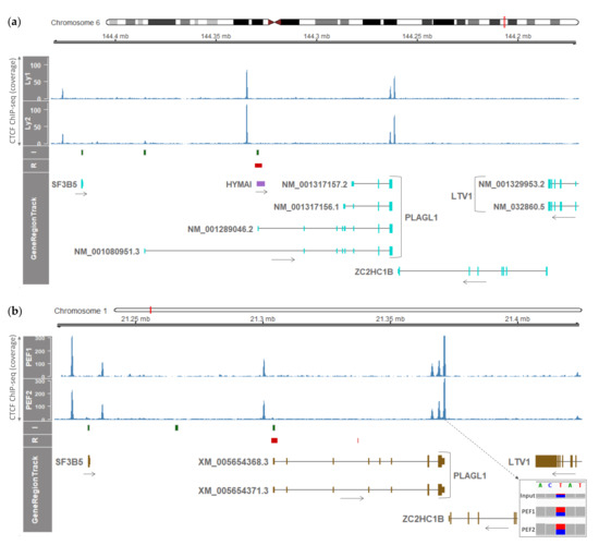 Genomic Imprinting at the Porcine PLAGL1 Locus and the Genomic Imprinting at the Porcine PLAGL1 Locus and the
