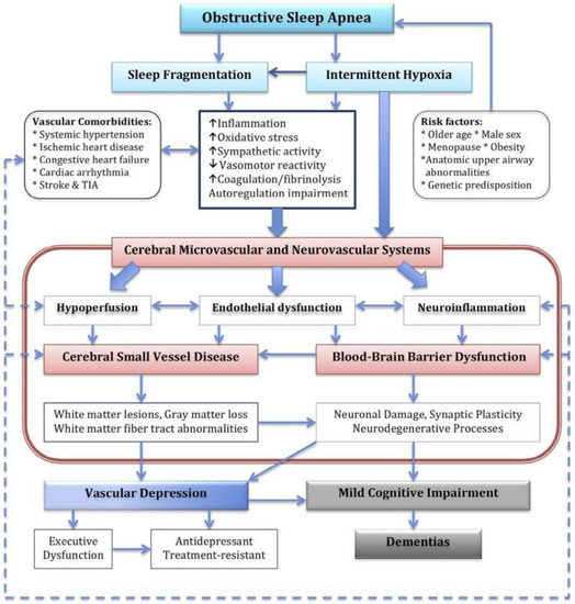 Obstructive Sleep Apnea and Dementia-Common Gene Associations through ...