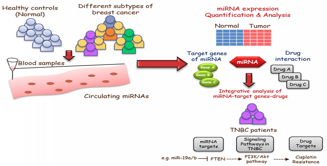 Genes | Free Full-Text | Clinical Identification of Dysregulated ...